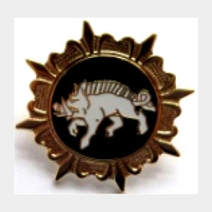 Badges & Pins - Richard III Society